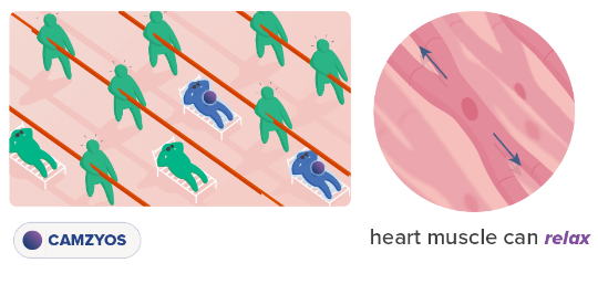 About CAMZYOS® (mavacamten) - Symptomatic Obstructive HCM Treatment
